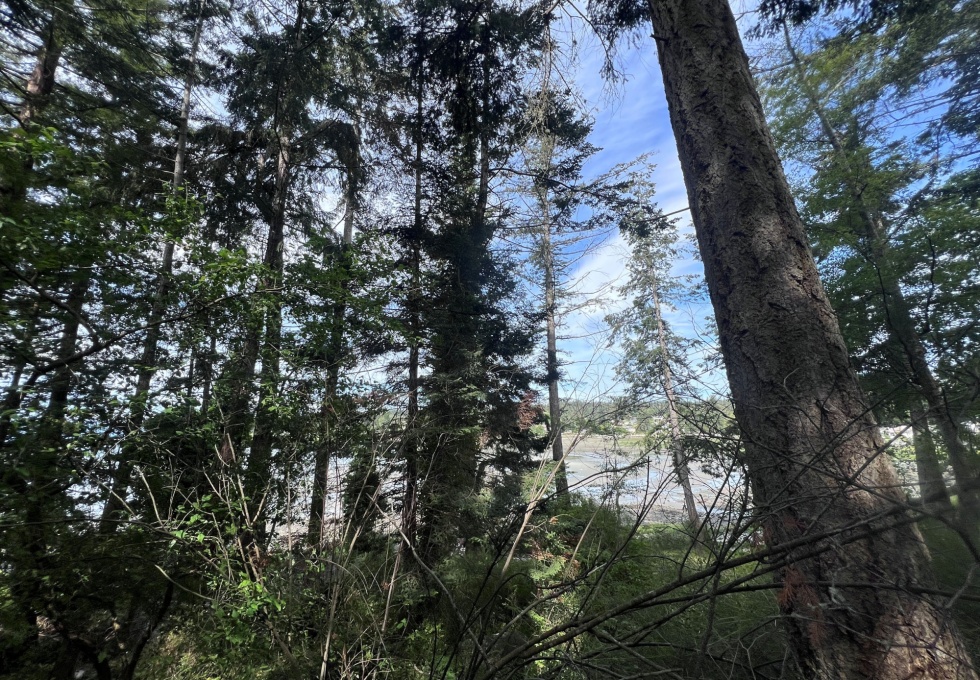 Texada Island, Lot 11 Gillies Bay Rd | BC Oceanfront Real Estate Texada Island, Lot 11 Gillies Bay Rd | BC Oceanfront Real Estate