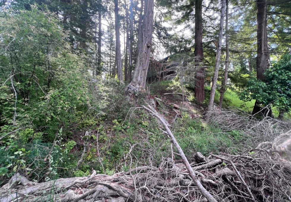 Texada Island, Lot 11 Gillies Bay Rd | BC Oceanfront Real Estate Texada Island, Lot 11 Gillies Bay Rd | BC Oceanfront Real Estate